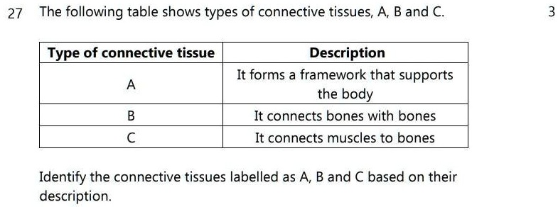 27 The following table shows types of connective tissues, A, B and C. Type of connective tissue ...