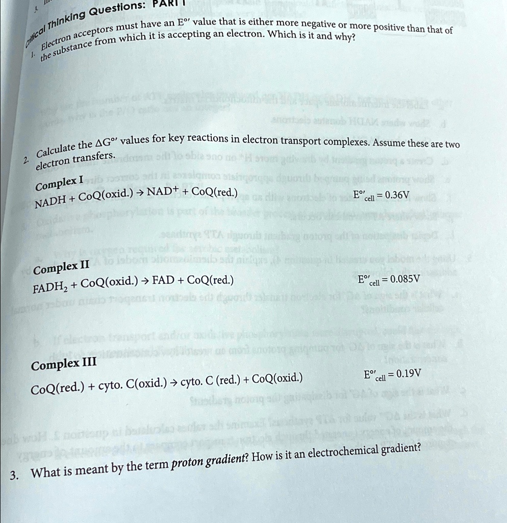 SOLVED: Thinking Questions: 1. The electron (substance) from which it ...