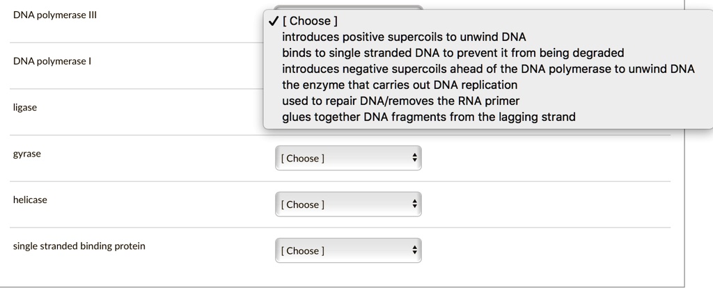 SOLVED: DNA polymerase III introduces positive supercoils to unwind DNA ...