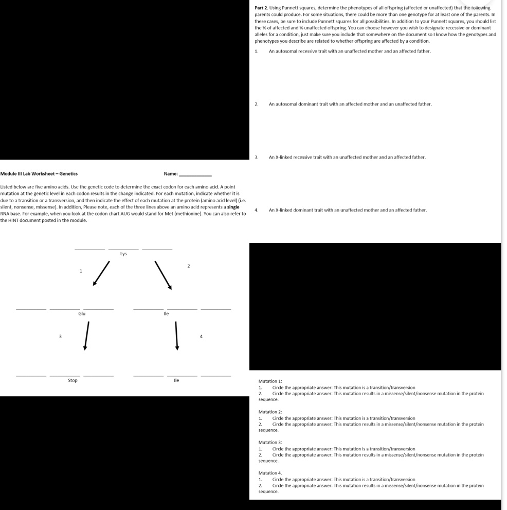 SOLVED: . Part 2. Using Punnett squares, determine the phenotypes of ...