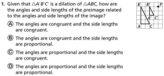 1. Given that riangle A'B'C' is a dilation of riangle ABC, how are the angles and side lengths ...
