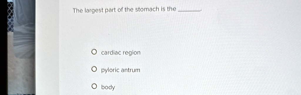 the largest part of the stomach is the cardiac region pyloric antrum ...