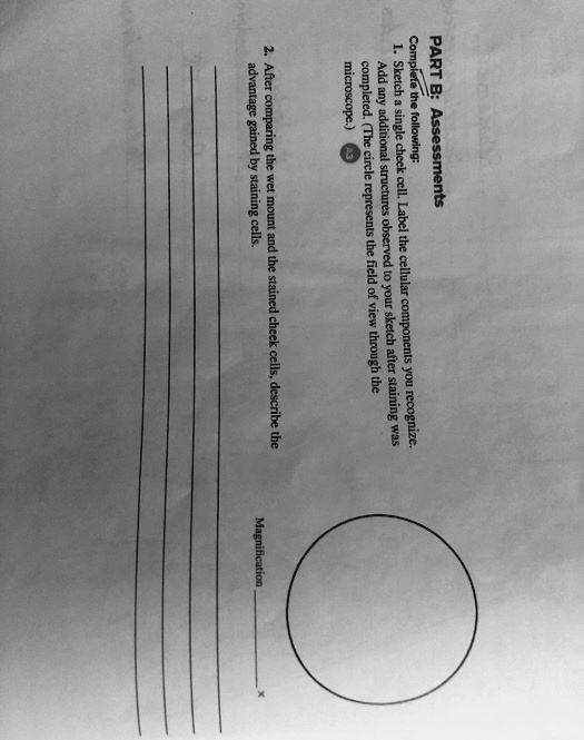PART B: Assessments Complete the following: 1. Sketch a single cheek ...