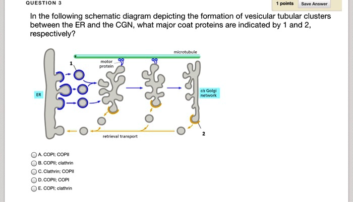 QUESTION 3 1 points Save Answer In the following schematic...