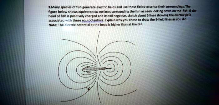 3many species of fish generate lectric fields and use these...