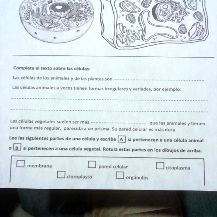 Me ayudan a responde esto Completa el texto sobre las celulas: Las ...