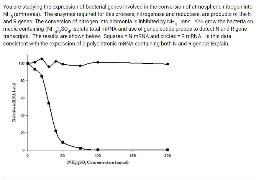 you are studying the expression of bacterial genes involved in the ...
