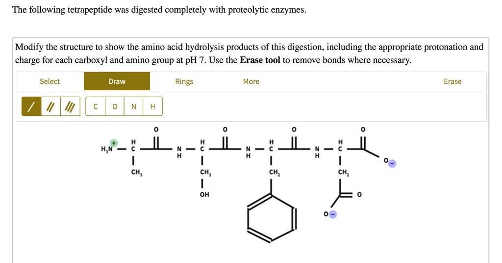 SOLVED: The following tetrapeptide was digested completely with proteolytic enzymes Modify the ...