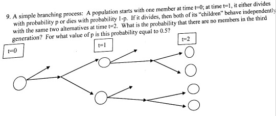 SOLVED: Time += 0; at time t, either divides process; population starts with one member ...