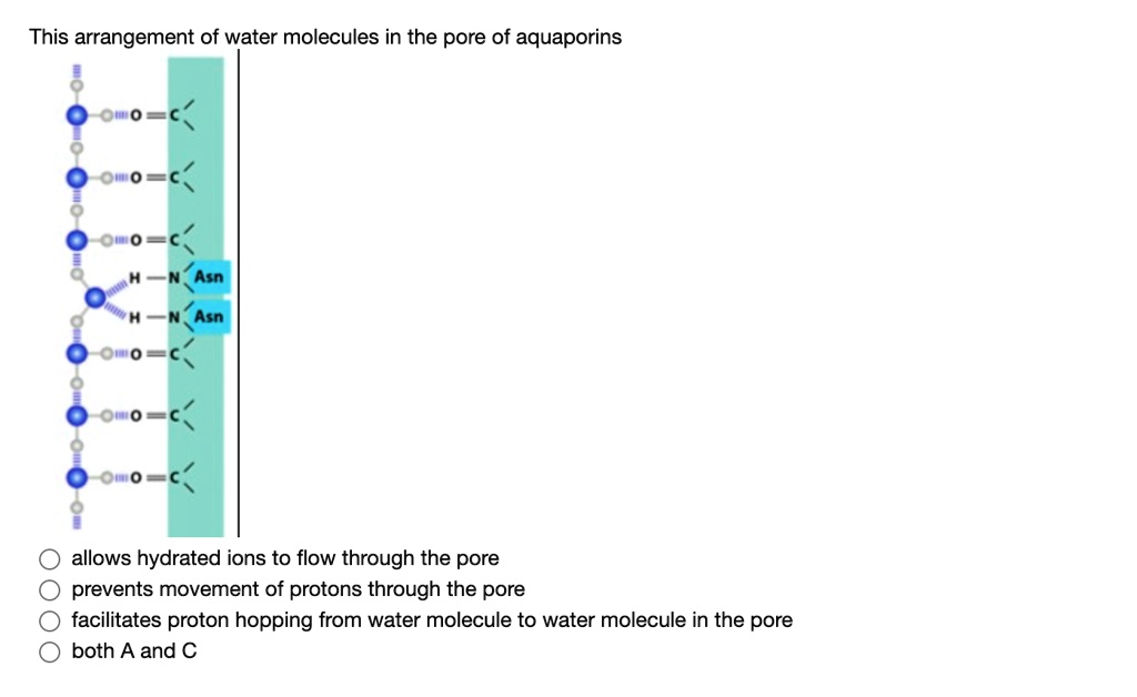 SOLVED: This arrangement of water molecules in the pore of aquaporins ...