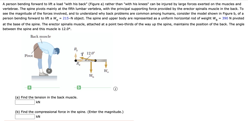 SOLVED: person bending forward to lift load with his back" (Figure a ...