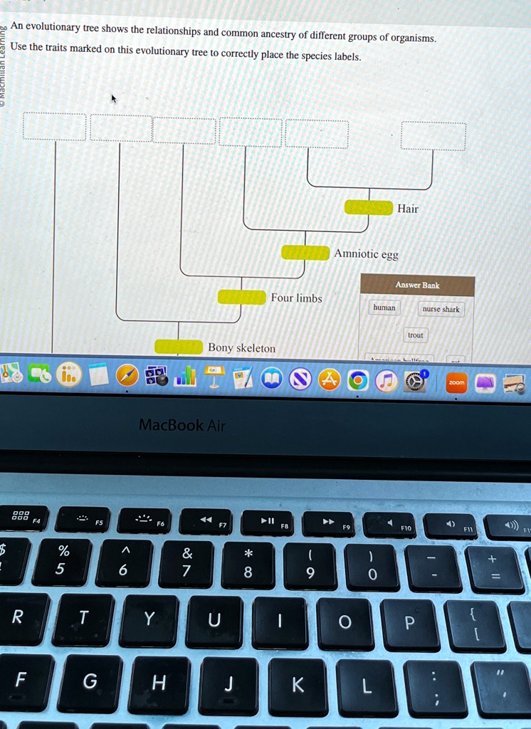 An evolutionary tree shows the relationships and common ancestry of ...