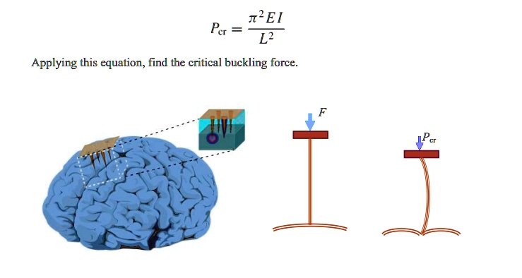 SOLVED: A neuroprobe is a needle-like probe used to collect signals ...