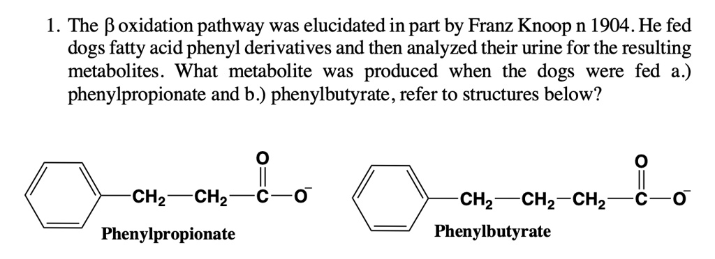 SOLVED: The Î²-oxidation pathway was elucidated in part by Franz Knoop ...