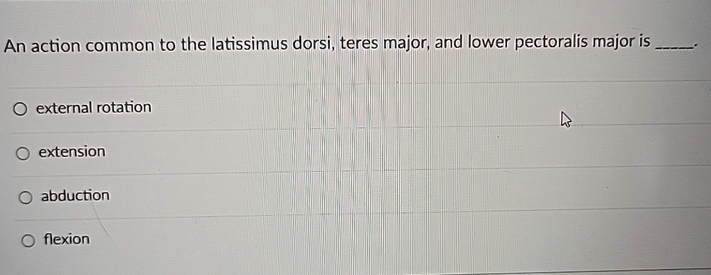 An action common to the latissimus dorsi, teres major, and lower ...
