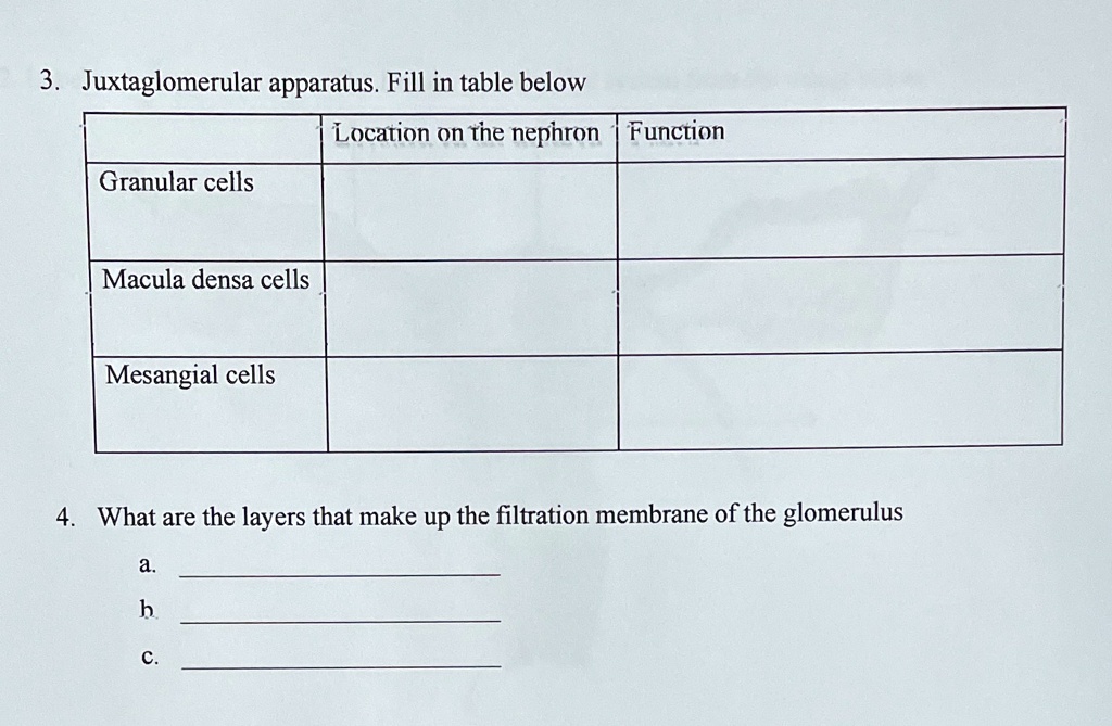 3 juxtaglomerular apparatus fill in table below location on the nephron ...