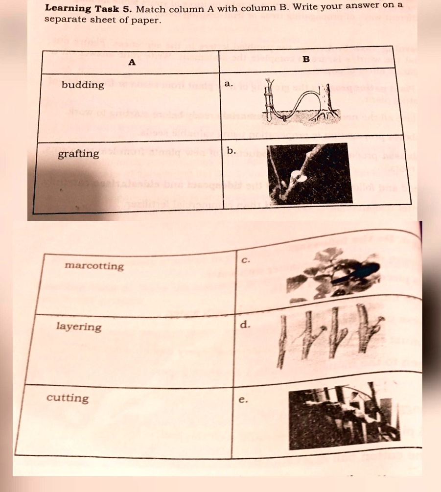 pa help po need ko na po ang answer learning task 5 match column a with column by write your ...