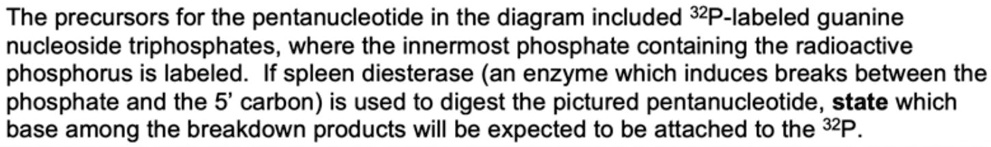 the precursors for the pentanucleotide in the diagram included 32p ...