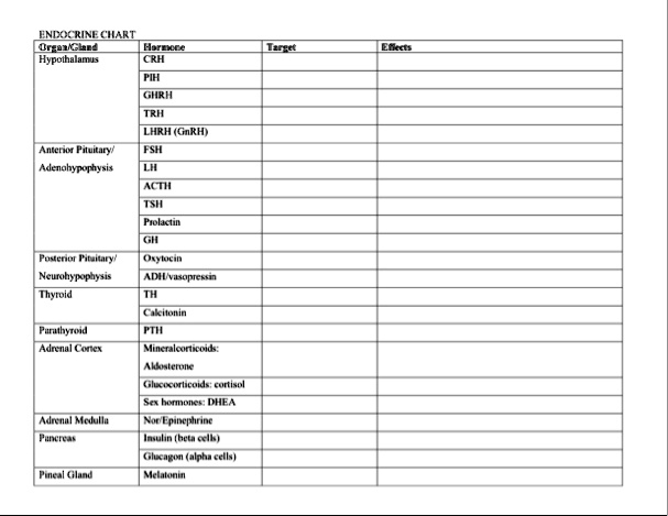 endocrine chart organgland hormone target effects hypothalamus crh pih ...