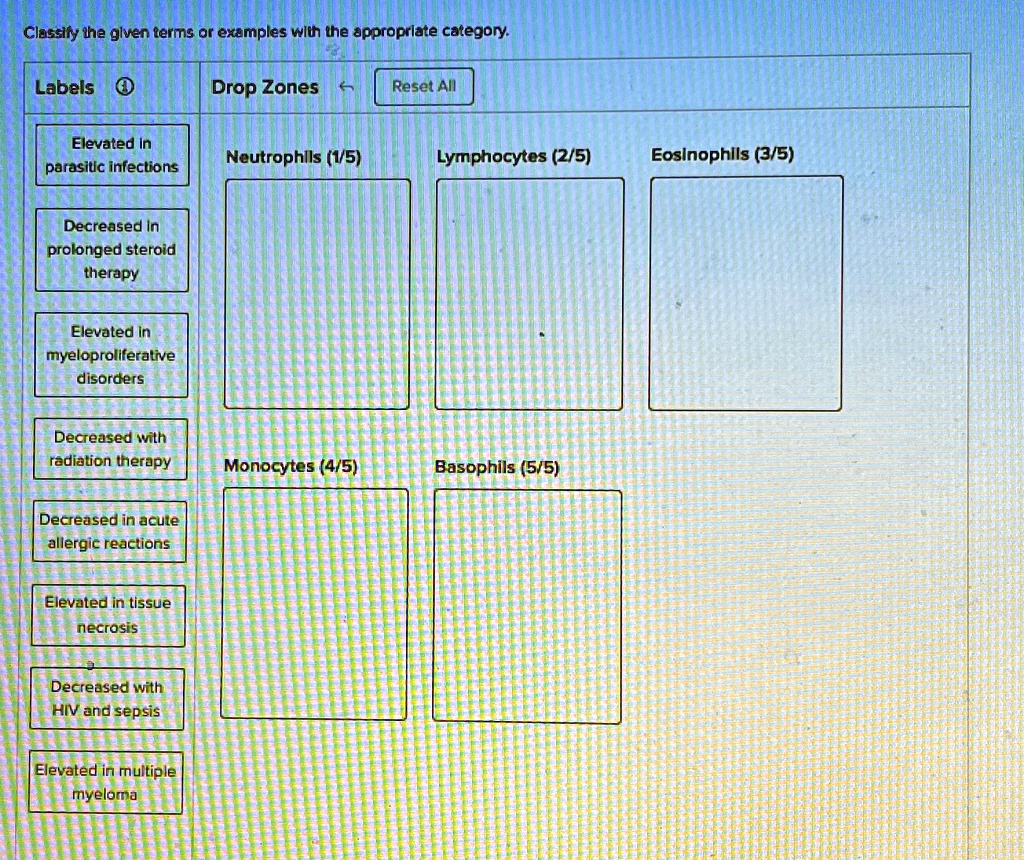 SOLVED: Classify the given terms or examples with the appropriate ... SOLVED: Classify the given terms or examples with the appropriate ...