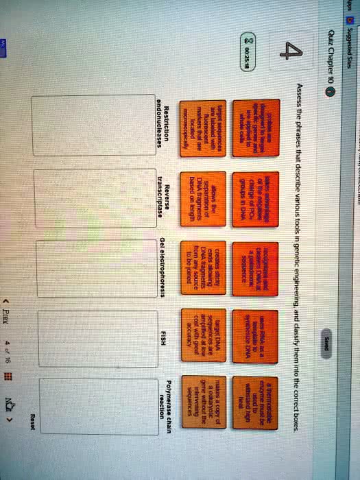 Assess the phrases that describe various tools in genetic engineering ...