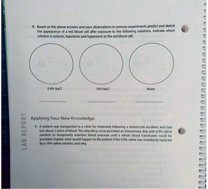 SOLVED:Based on the above answers and your observations osmosis ...