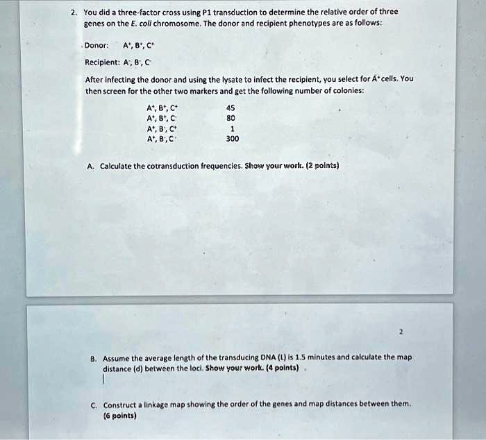 2. You did a three-factor cross using P1 transduction to determine the ...