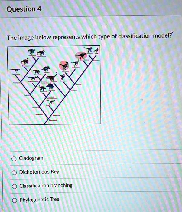 SOLVED: The image below represents which type of classification model ...