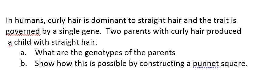 SOLVED:In humans, curly hair is dominant to straight hair and the trait ...