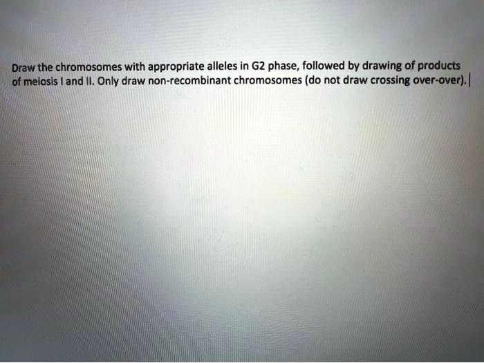 SOLVED: Draw the chromosomes with appropriate alleles in G2 phase ...