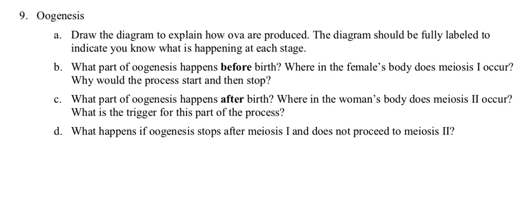 oogenesis draw the diagram to explain how ova are produced the diagram ...