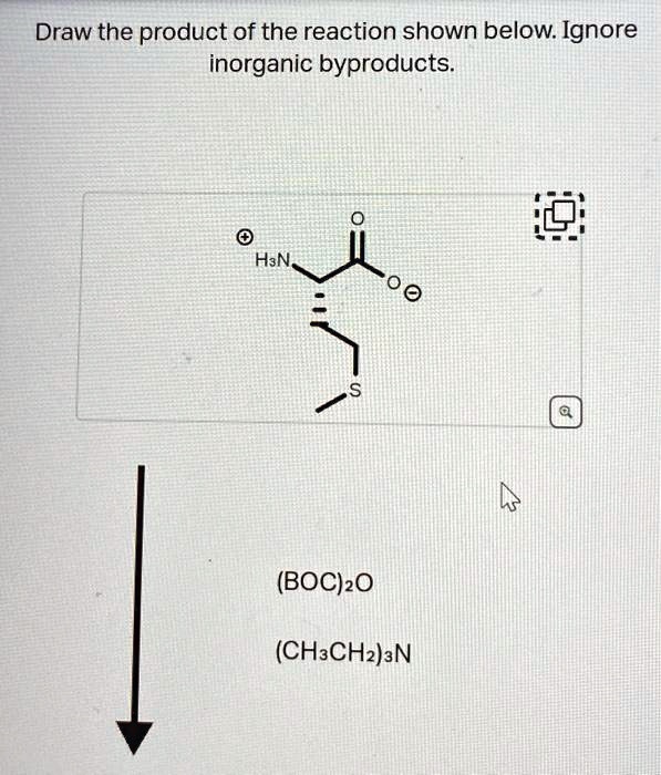 SOLVED: Draw the product of the reaction shown below.Ignore inorganic byproducts ? H3N a (BOC)2O ...