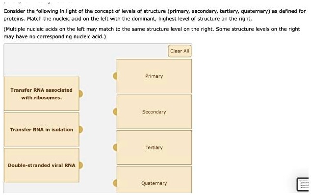 SOLVED: Consider the following in light of the concept of levels of ...