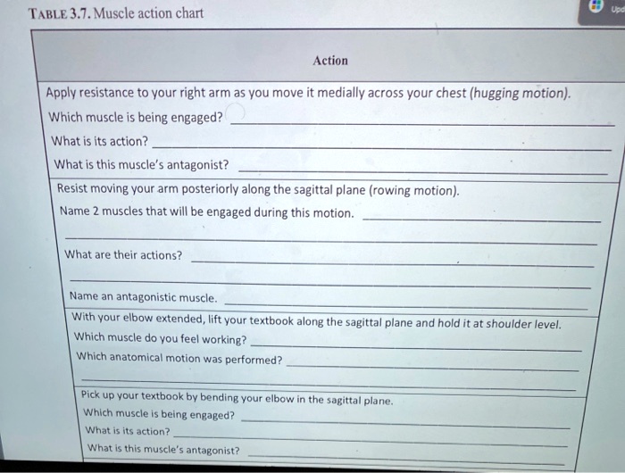 TABLE 3.7. Muscle action chart Action Apply resistance to your right ...