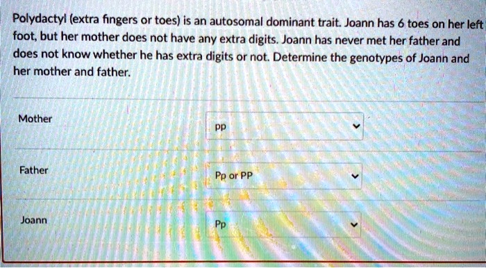 SOLVED: Polydactyl (extra fingers toes) is an autosomal dominant trait Joann has 6 toes on her ...
