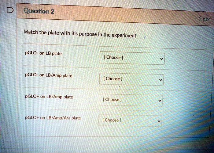 Question 2 Match the plate with it's purpose in the experiment pGLO- on ...