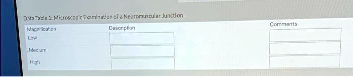 SOLVED: Data Table 1:Microscopic Examination of a Neuromuscular ... SOLVED: Data Table 1:Microscopic Examination of a Neuromuscular ...