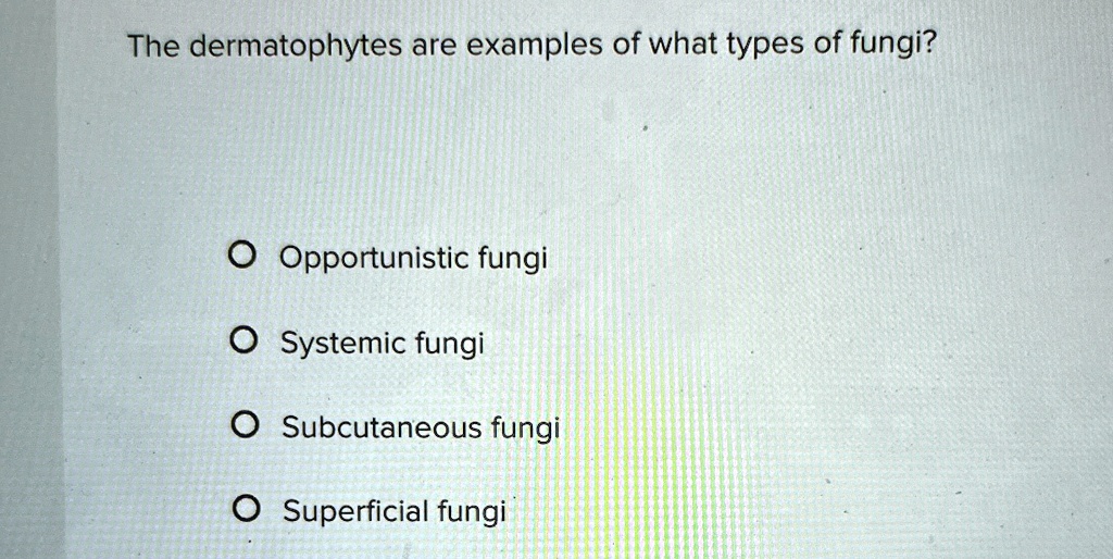 the dermatophytes are examples of what types of fungi o opportunistic ...