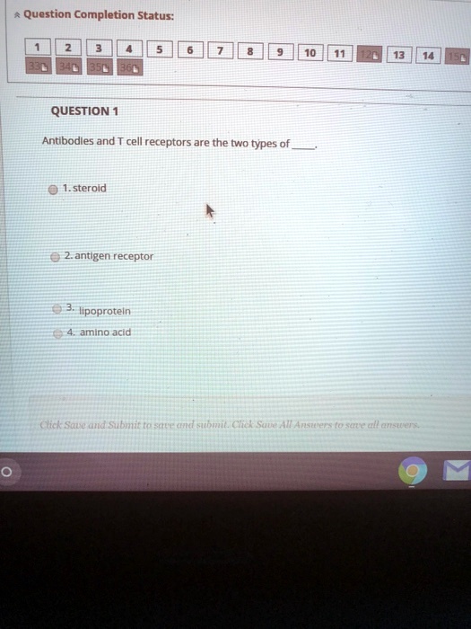 SOLVED: Question Completion Status: QUESTION 1 Antibodles and T cell ... SOLVED: Question Completion Status: QUESTION 1 Antibodles and T cell ...
