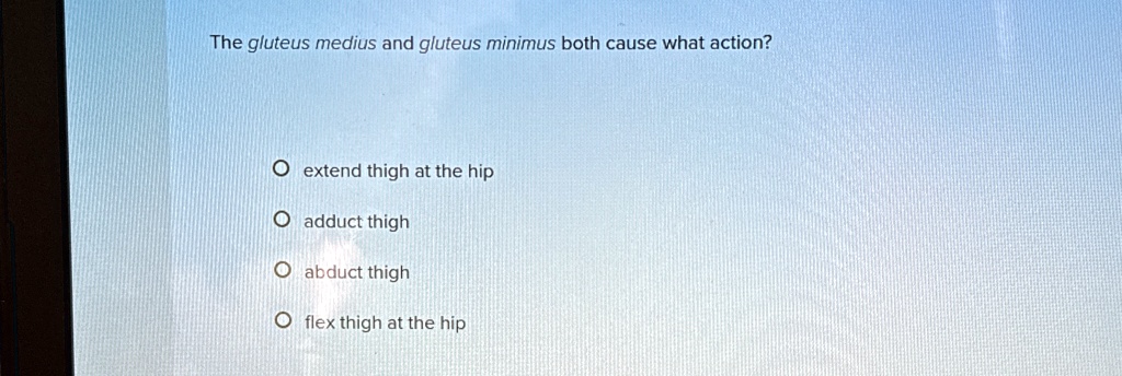 the gluteus medius and gluteus minimus both cause what action o extend ...