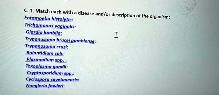 Naegleria Fowleri Primary Amebic Meningoencephalitis Pam