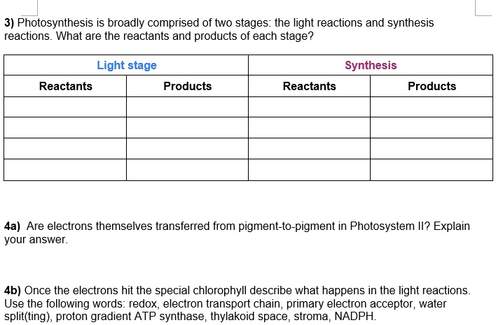 3 photosynthesis is broadly comprised of two stages the light reactions ...