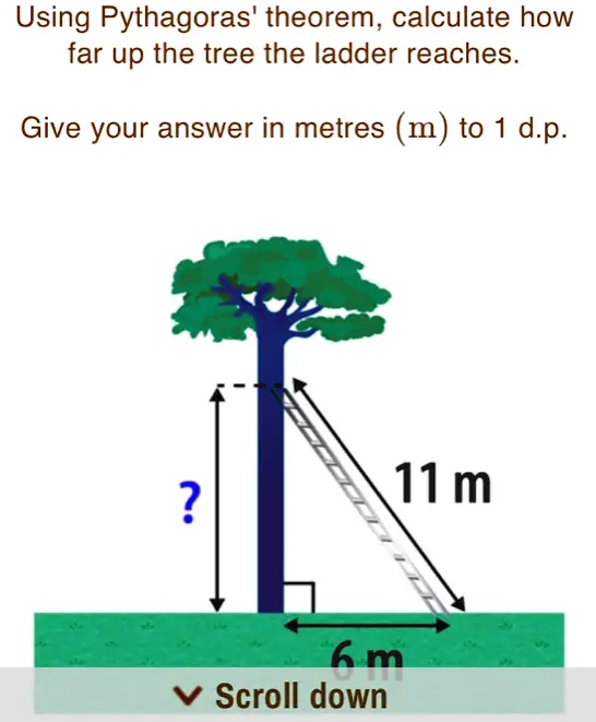 Solved Using Pythagoras Theorem Calculate How Far Up The Tree The Ladder Reaches Give Your
