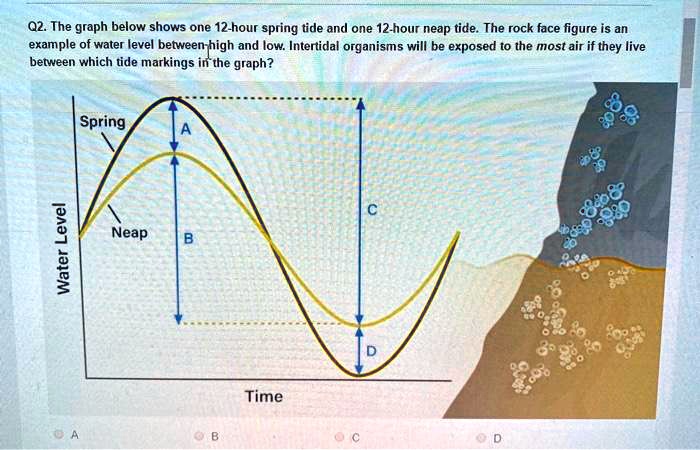 Q2. The graph below shows one 12-hour spring tide and one 12-hour neap ...