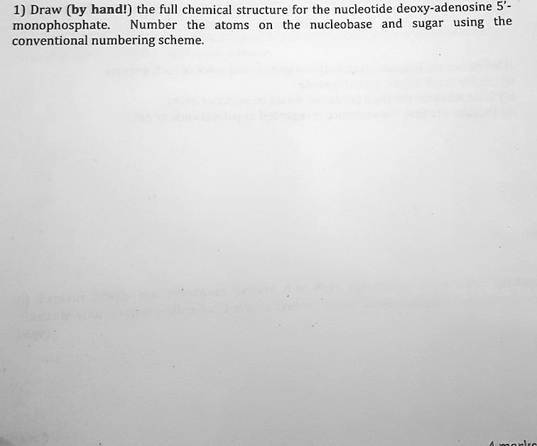 1 draw by hand the full chemical structure for the nucleotide deoxy ...