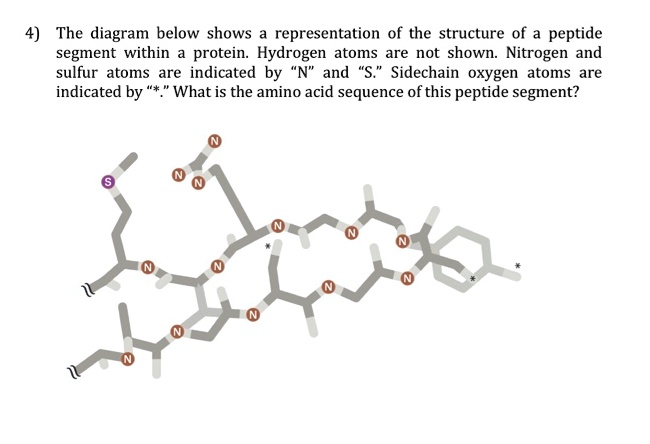 4) The diagram below shows a representation of the structure of a ...