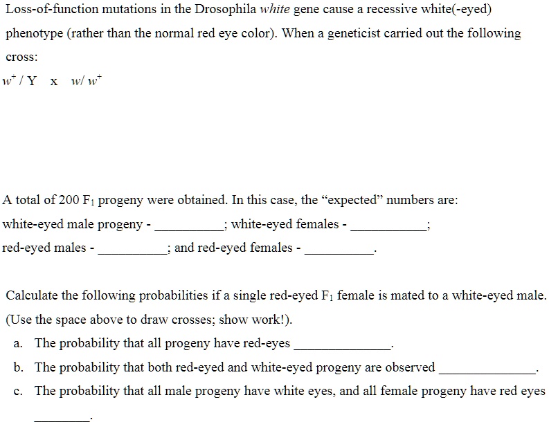 loss of function mutations in the drosophila white gene cause a ...