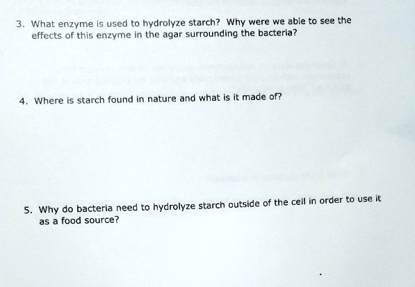 What enzyme is used to hydrolyze starch? Why were we able to see the ...