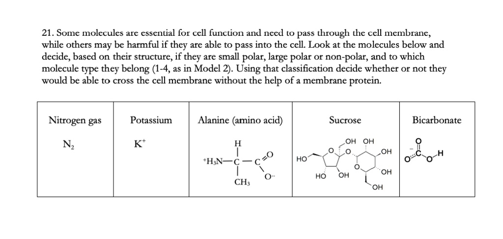 SOLVED: Some molecules are essential for cell function and need to pass ...
