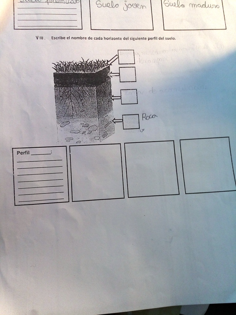 SOLVED: ayudenme como se llama y diganme al menos una caracteristica ...